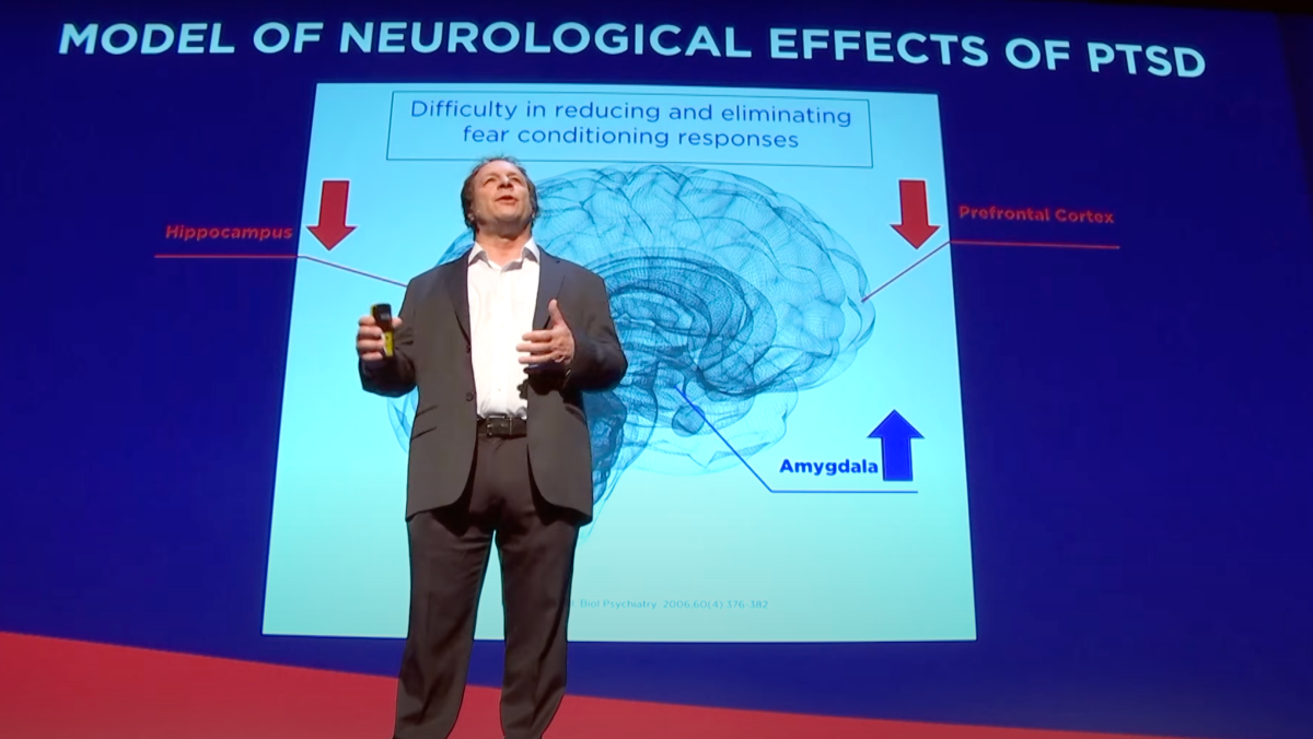 Psychedelics, Marijuana, and Healing PTSD - Oslo Freedom Forum